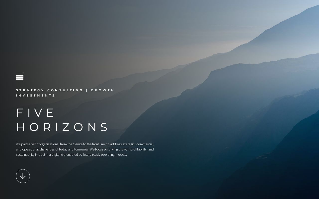 Five Horizons | Strategy consulting | Growth investments